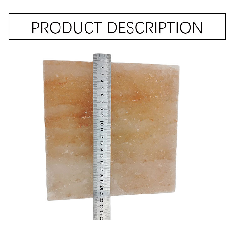 Wholesale Natural red salt blocks salt tiles Himalayan Salt Brick for Sale