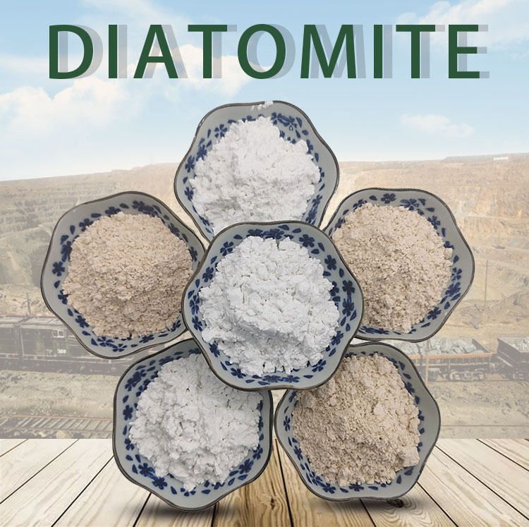 Food Grade Diatomite Powder Diatomaceous Earth Powder Celite 545 for sale